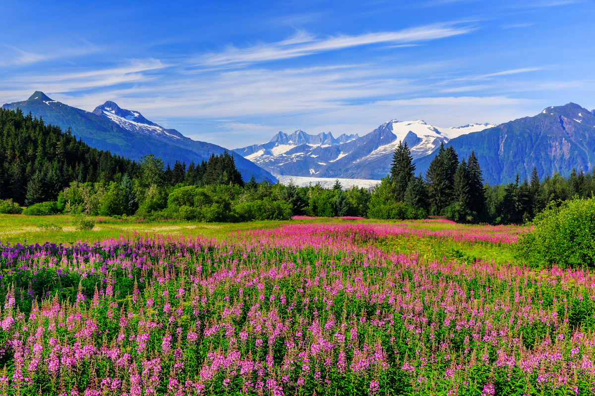 Planning A Trip To Alaska | Berkshire Hathaway Travel Protection